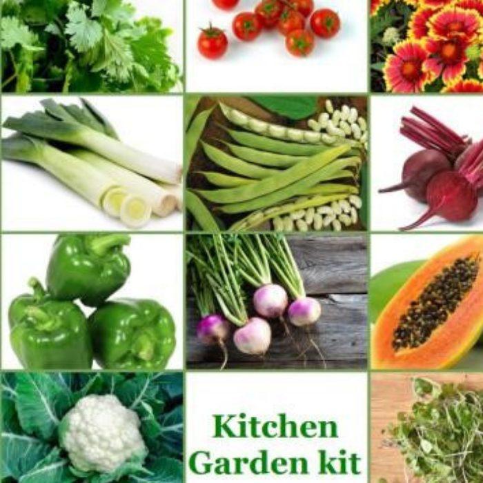 Kitchen Garden Seeds - A Great Way to Add Flavor to Your Meals - Agro Pro